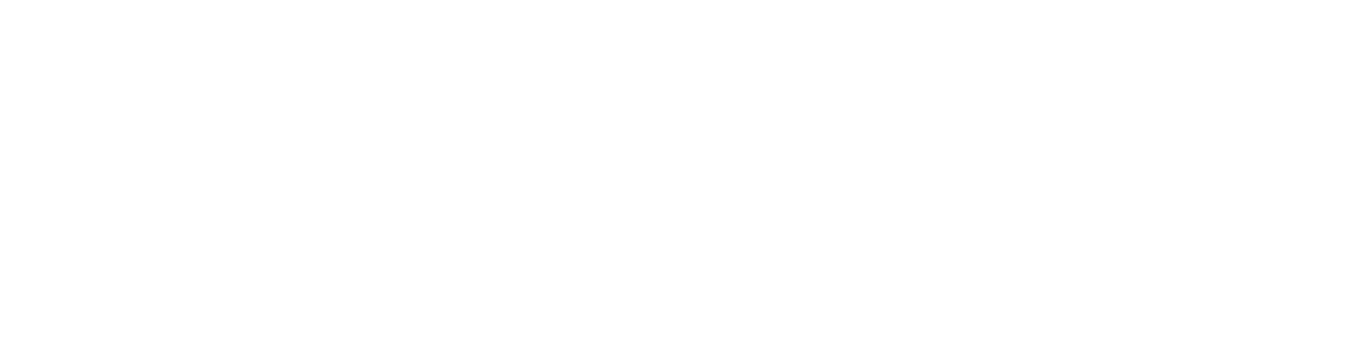 Company Log in - ApeiroSys